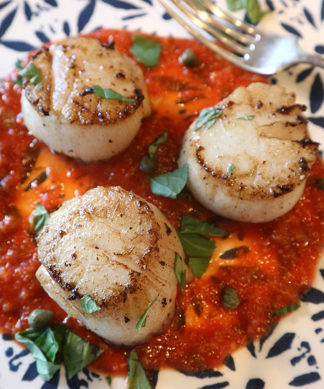 Tomato Basil Recipes – Le Sauce & Co.